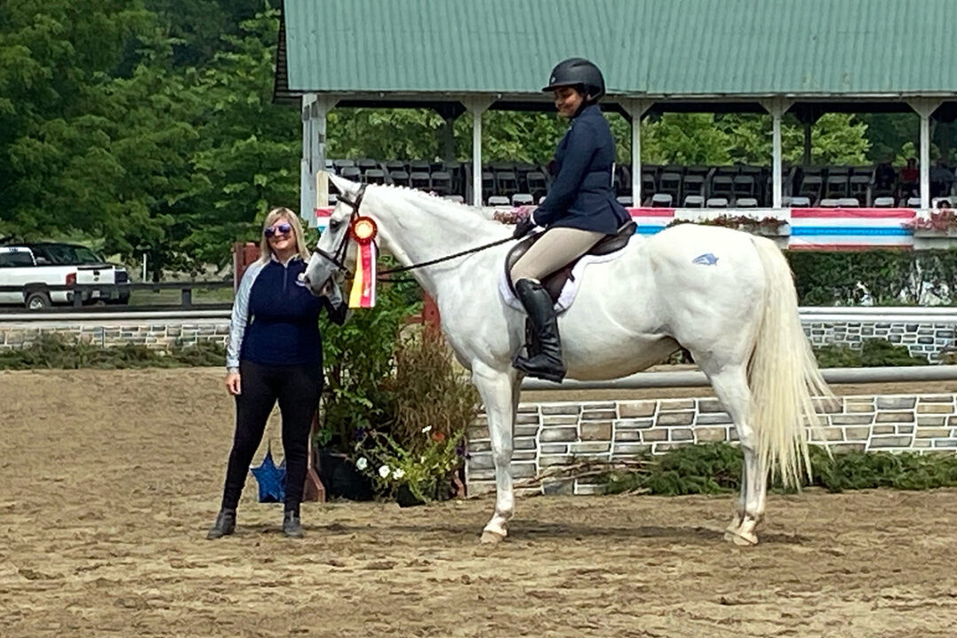 About us | Morning Side Stables