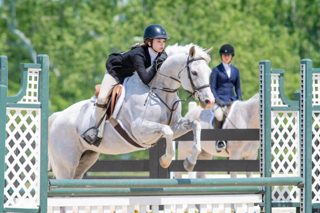 About us | Morning Side Stables