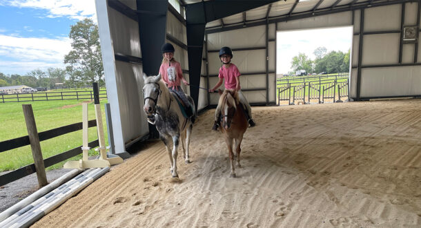 Home | Morning Side Stables