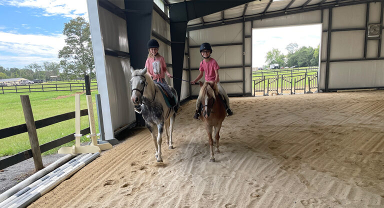 Home | Morning Side Stables