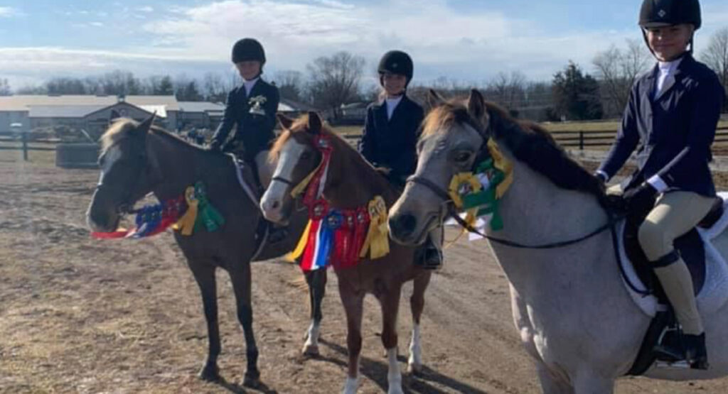 Home | Morning Side Stables