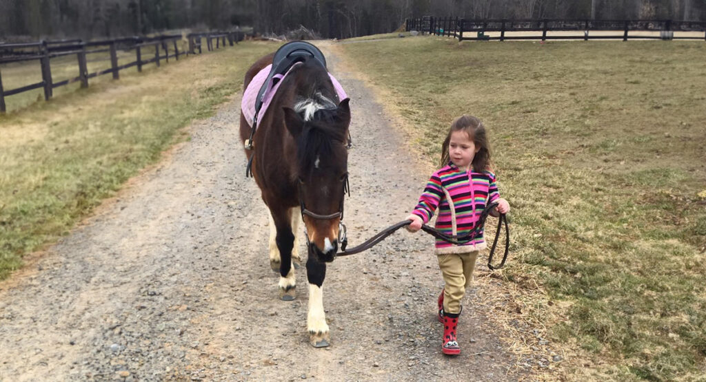 Riding School | Morning Side Stables
