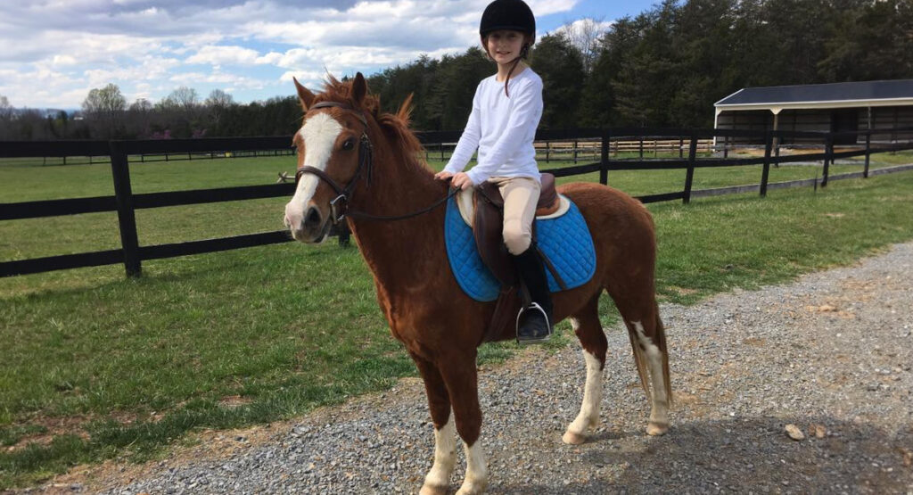 Riding School | Morning Side Stables