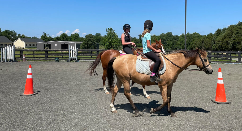 Riding School | Morning Side Stables